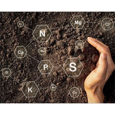Soil Testing Services At Best Price In Panoli Gujarat Agri Biochem Research Lab