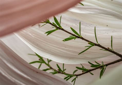 Power Output → Term