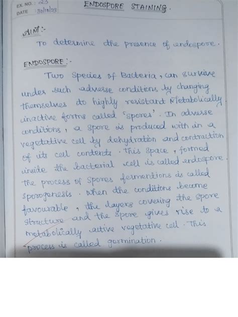 Experiment No 23 Endospore Staining Pdf
