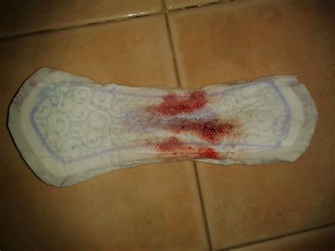 Pad Of My Friend Porn Pictures Xxx Photos Sex Images 1102881 Pictoa Pad Of My Friend Porn Pictures Xxx Photos Sex Images 1102881 Pictoa