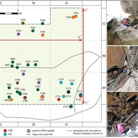 Locations Of Sediment Samples Collected For Dna Analyses Shown On A