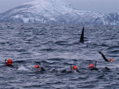 I Missed 3 Team Fun Days While I Was Away They Were All Mysteriously Scheduled For While