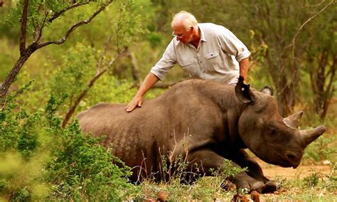 What Are The Best Ways To Protect Wildlife Essential Tips And Strategies