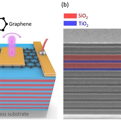 A A Schematic Of The Graphene Tamm Plasmon Polariton Photodetector Download Scientific