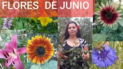 Flores De Junio Cuales Son Las Flores De Junio Youtube