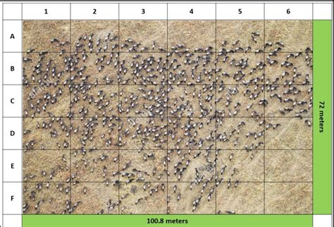 Solved Table Data For Quadrat Samples Quadrat Sample Chegg Com