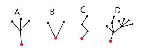 Number Theory Do All Single Variable Identities Over Exponentiation