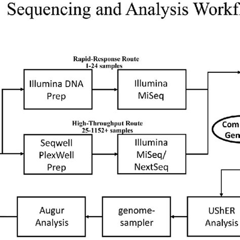 general workflow for the processing of complex samples basic workflow