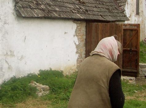 ვაჟებმა მოხუცი დედა სოფელში გაისტუმრეს ის კი იქ მეურნეობით დაკავდა