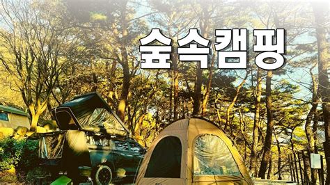 소나무 아래에서 쉘터치고 하룻밤보내기 렉스턴스포츠 캐노피캠퍼 Youtube