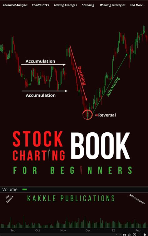 Stock Charting Book For Beginners A Great Source For Learning Charting
