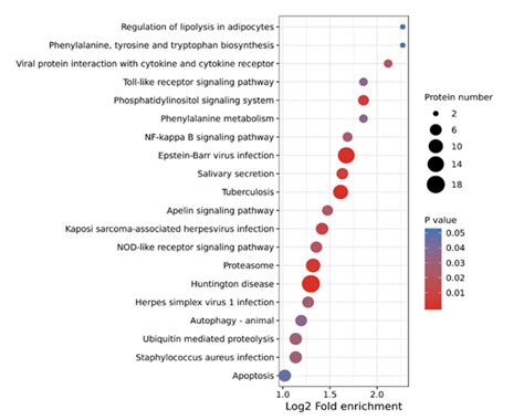 cog kog functional classification chart of the identified daps the
