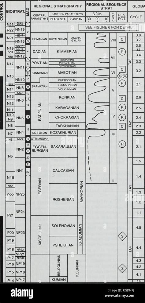 Bulletin Of The Natural Histort Museum Geology Series Review Of