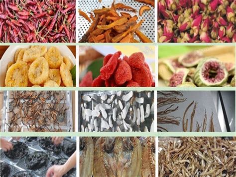 Ginger Drying Machine For Drying Fruits And Vegetables