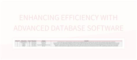 Enhancing Efficiency With Advanced Database Software Excel Template And