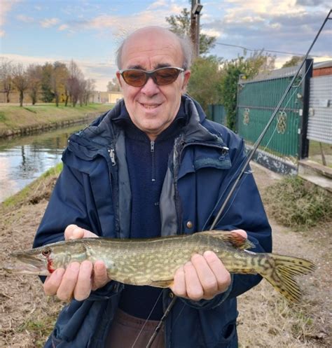 Spinning Lattacco Del Luccio Pescareonline It