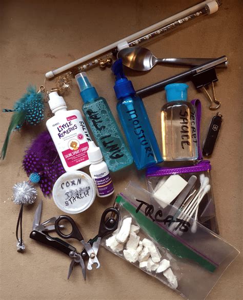 What Is Grooming A Show Cat Like