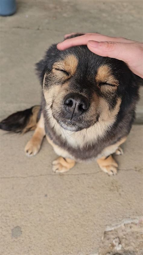 깜순이네 딸기 🍓 논산 딸기 설향 킹스베리 이노무시끼 Instagram