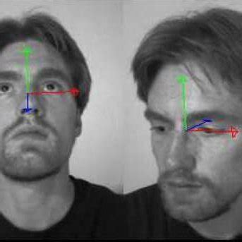 Head Pose And Position Estimation Download Scientific Diagram