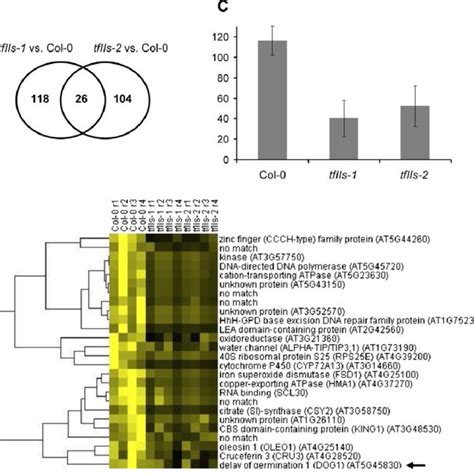 comparative transcript profiling of 15 daf seeds of tfiis lines and