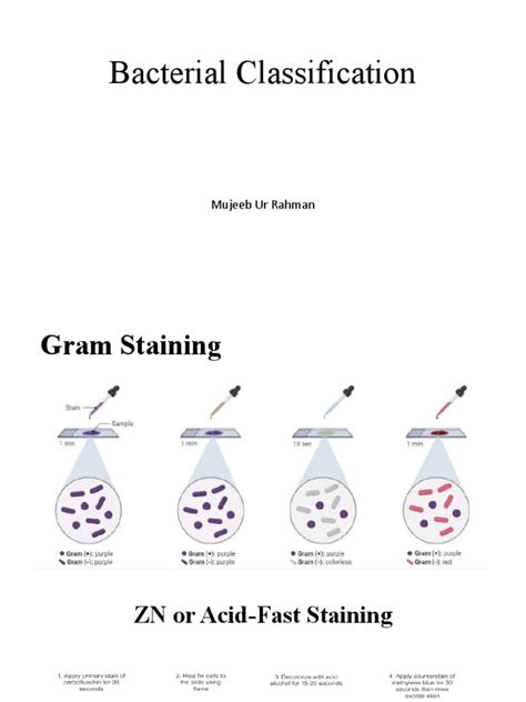5 2 Bacterial Classification Pdf Staphylococcus Biochemistry
