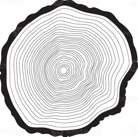 Tree Rings Background 36331314 PNG