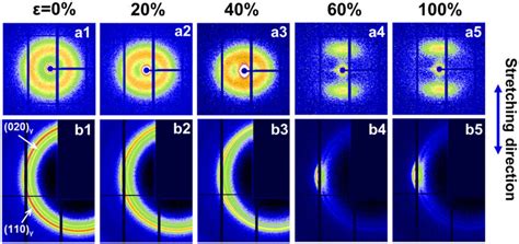 In Situ Simultaneous 2d Saxs A1 A5 And Waxd B1 B5 Patterns Taken