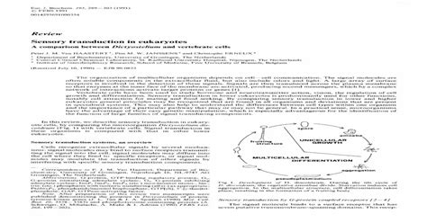 Sensory Transduction In Eukaryotes A Comparison Between Dictyosteliurn