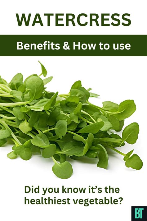 Green And Mighty Watercress Benefits Of The Healthiest Vegetable
