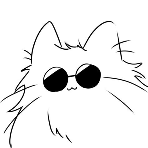 고죠냥 님의 프로필 콜리 Colley