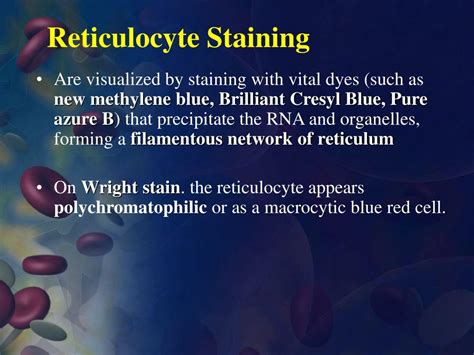 Ppt Reticulocyte Count Powerpoint Presentation Free Download Id 7079814