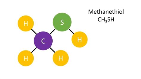 Methanethiol Ch3sh Youtube