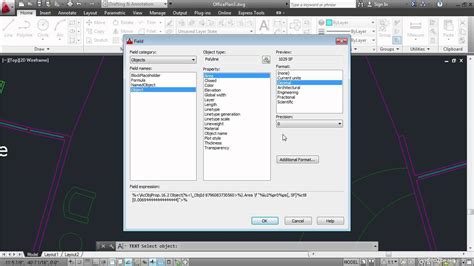Using Fields To Display Areas YouTube