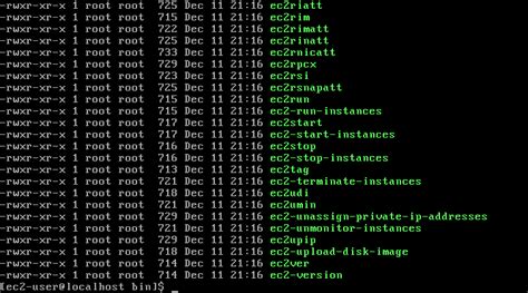 Amazon Linux 2 Who Nicked My Cheese