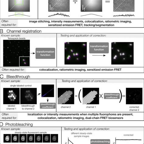 Measurement And Computational Correction Of Image Errors Known Samples