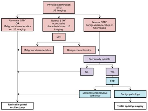 Testicular Cancer Diagram
