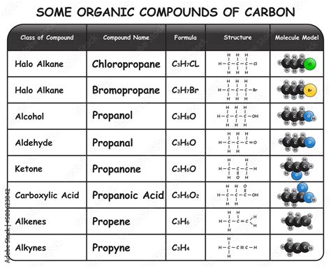 Vetor Do Stock Some Organic Compounds Of Carbon Infographic Diagram