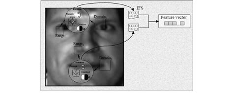 the feature extraction process of fractal based techniques download
