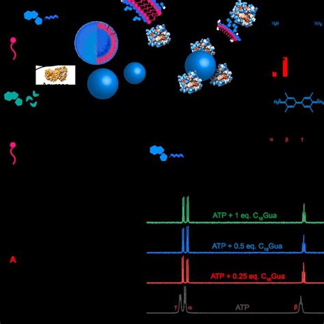 Design Of Atp Driven Self Assembled System A Schematic Download