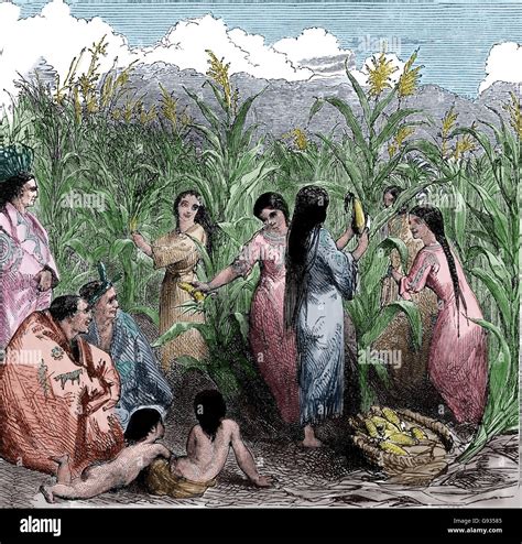 Native Americans Farming Corn