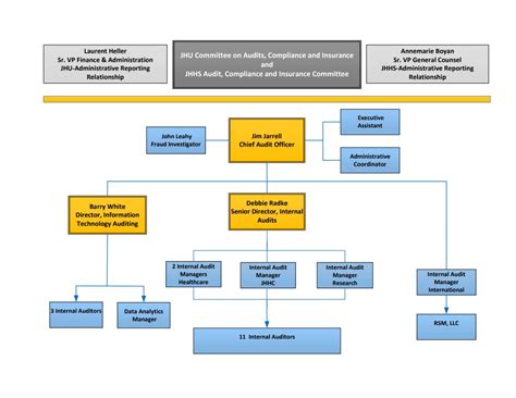 Organization Chart Office Of Hopkins Internal Audits