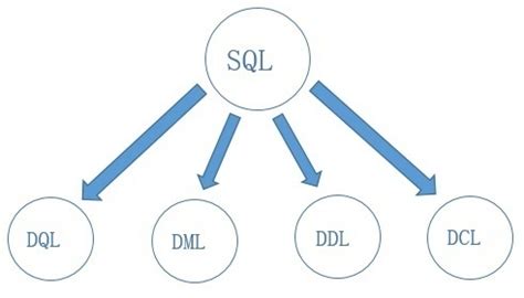 mysql 一文带你玩转SQL中的DML数据操作语言从概念到常见操作大解析数据操作不再难 云端源想 SegmentFault 思否