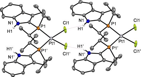 Extended Structure Of Cis‐ Ptcl2 Ipr2pc9h8n 2 1 Revealing Its