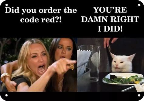 Top FUNNIEST Woman Yelling At Cat MEMES OFF