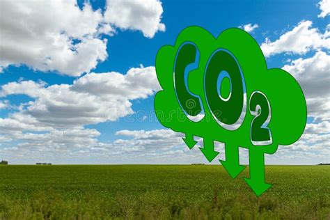 Drawing Representing The Absorption Of Carbon Dioxide By The Field