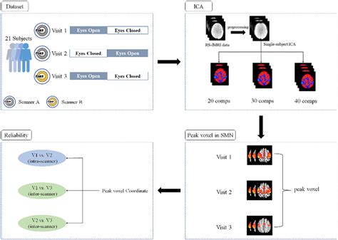 A Flowchart Of The Experiment Design And Data Analyses Download