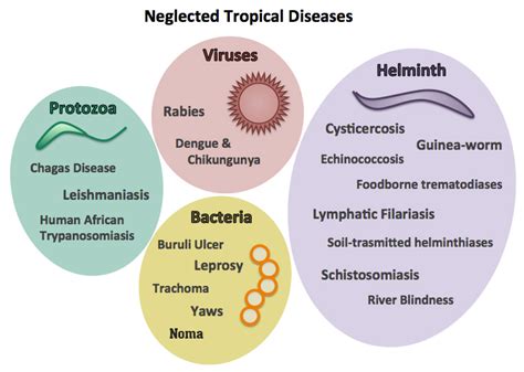 Noma As A Neglected Tropical Disease