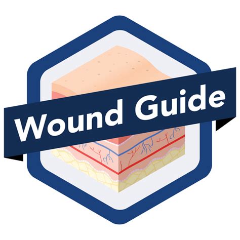 Wound Guide Epithelialising Advancis Medical