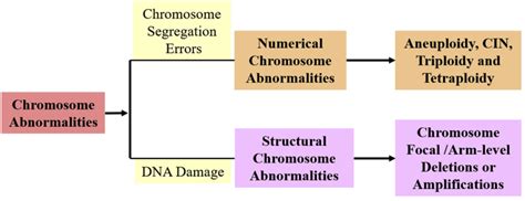 Structural Chromosomal Abnormalities