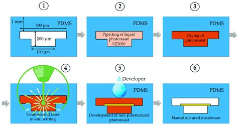 Proposed Fabrication Steps For Printing Of The Microstructured Membrane